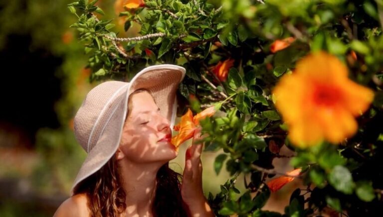 What Is Biophilia and Why Is It Important?